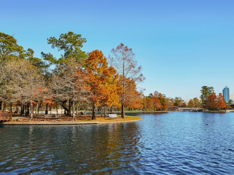 Lugares para pescar en Houston • Disfrutar en USA